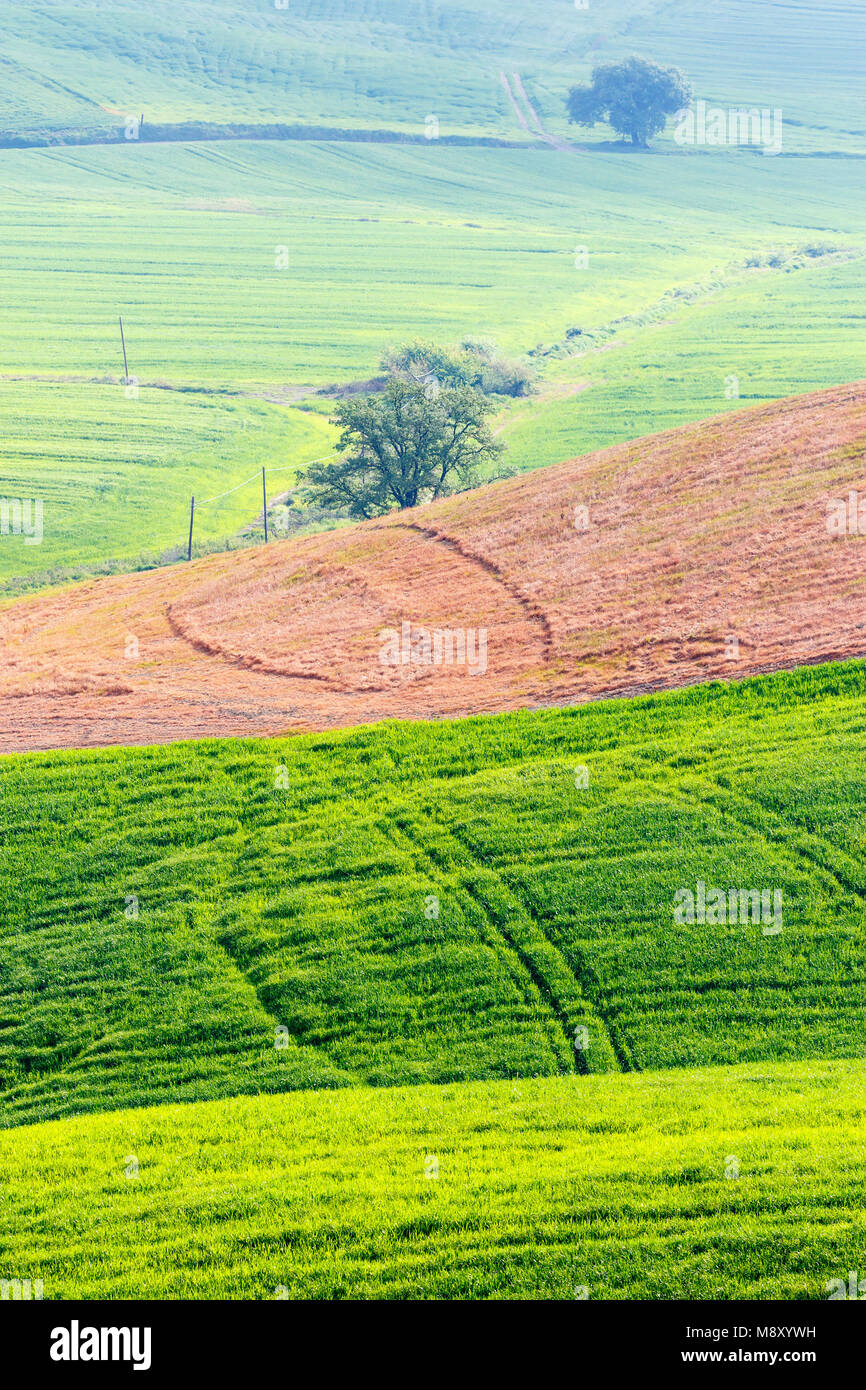 Colorful fields in a rural landscape view Stock Photo - Alamy