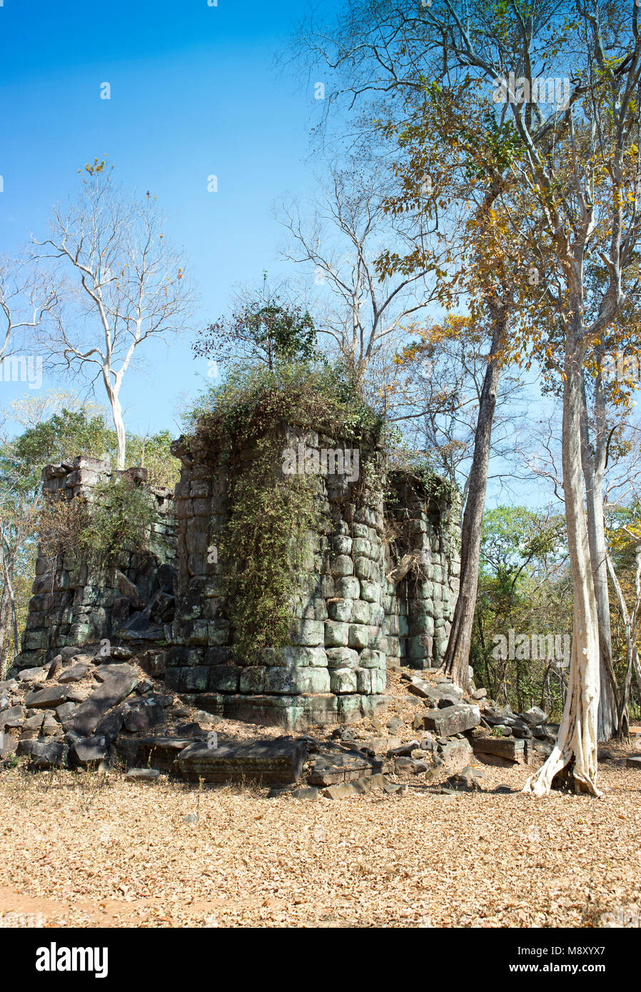 Koh Ker temple complex ruin, Cambodia Stock Photo - Alamy