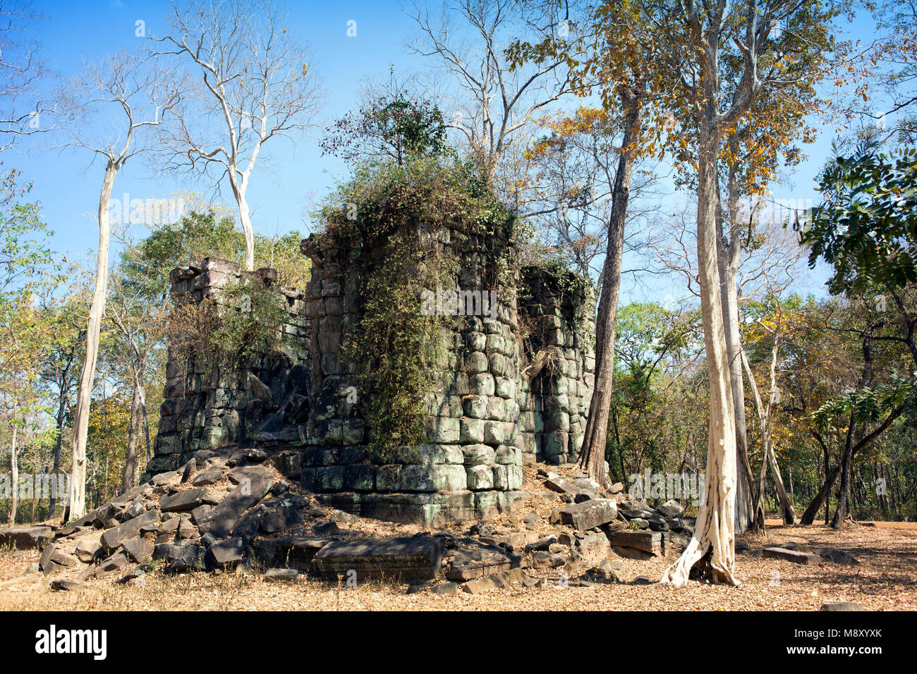 Koh Ker temple complex ruin, Cambodia Stock Photo - Alamy