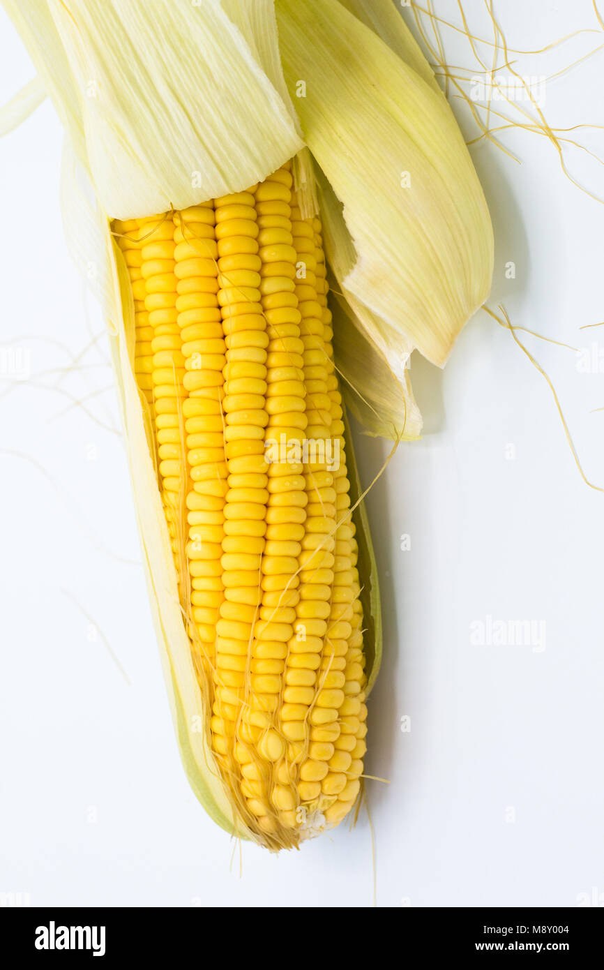 Yellow corn raw isolated on white background, front view from the top ...