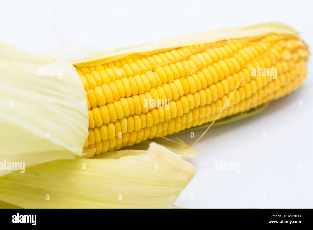 Yellow corn raw isolated on white background, front view from the top ...