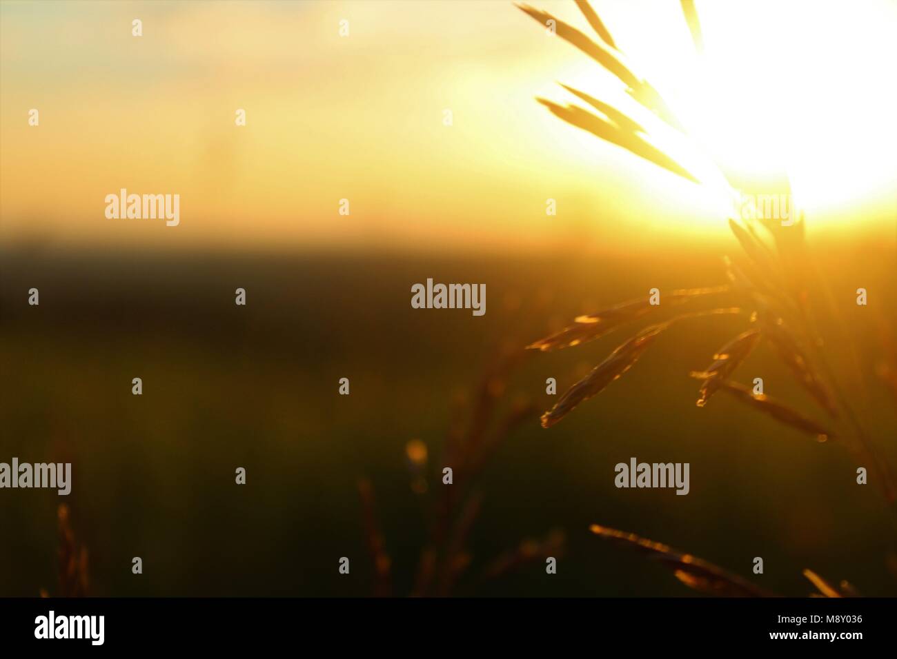Blurry sunset hi-res stock photography and images - Alamy