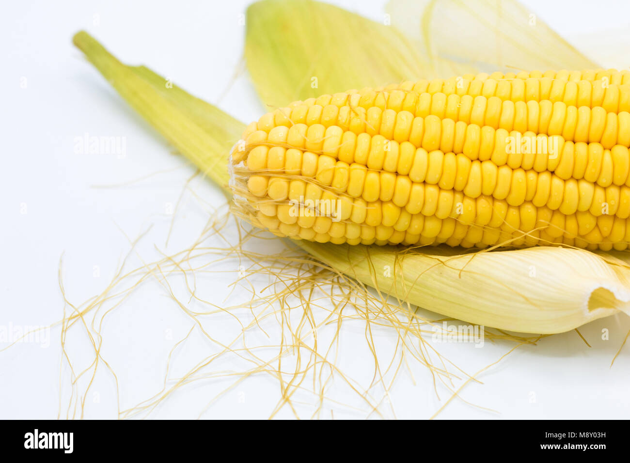 Yellow corn raw isolated on white background, front view from the top ...