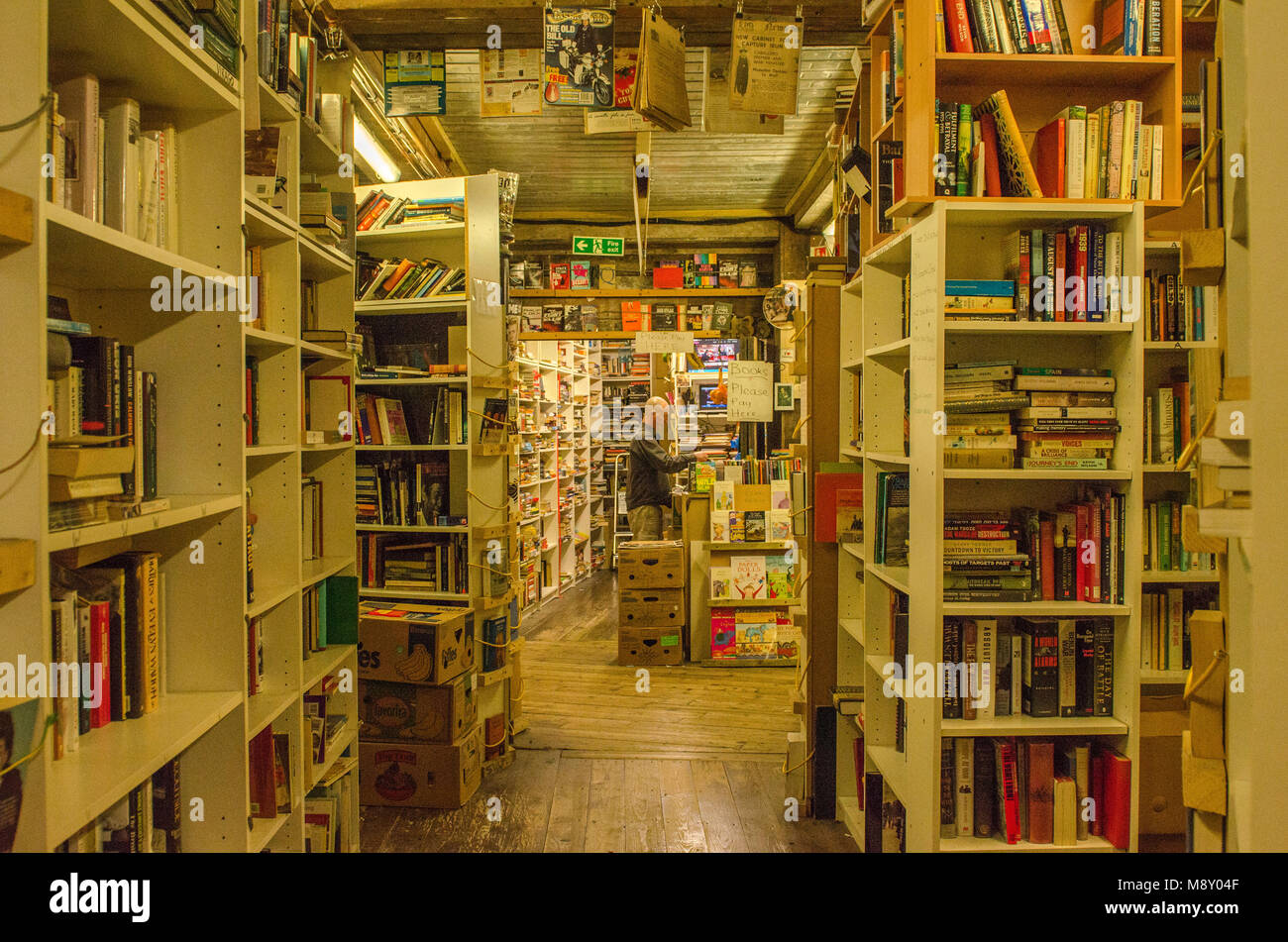 Man in inside bookshop. Camden, London Stock Photo - Alamy