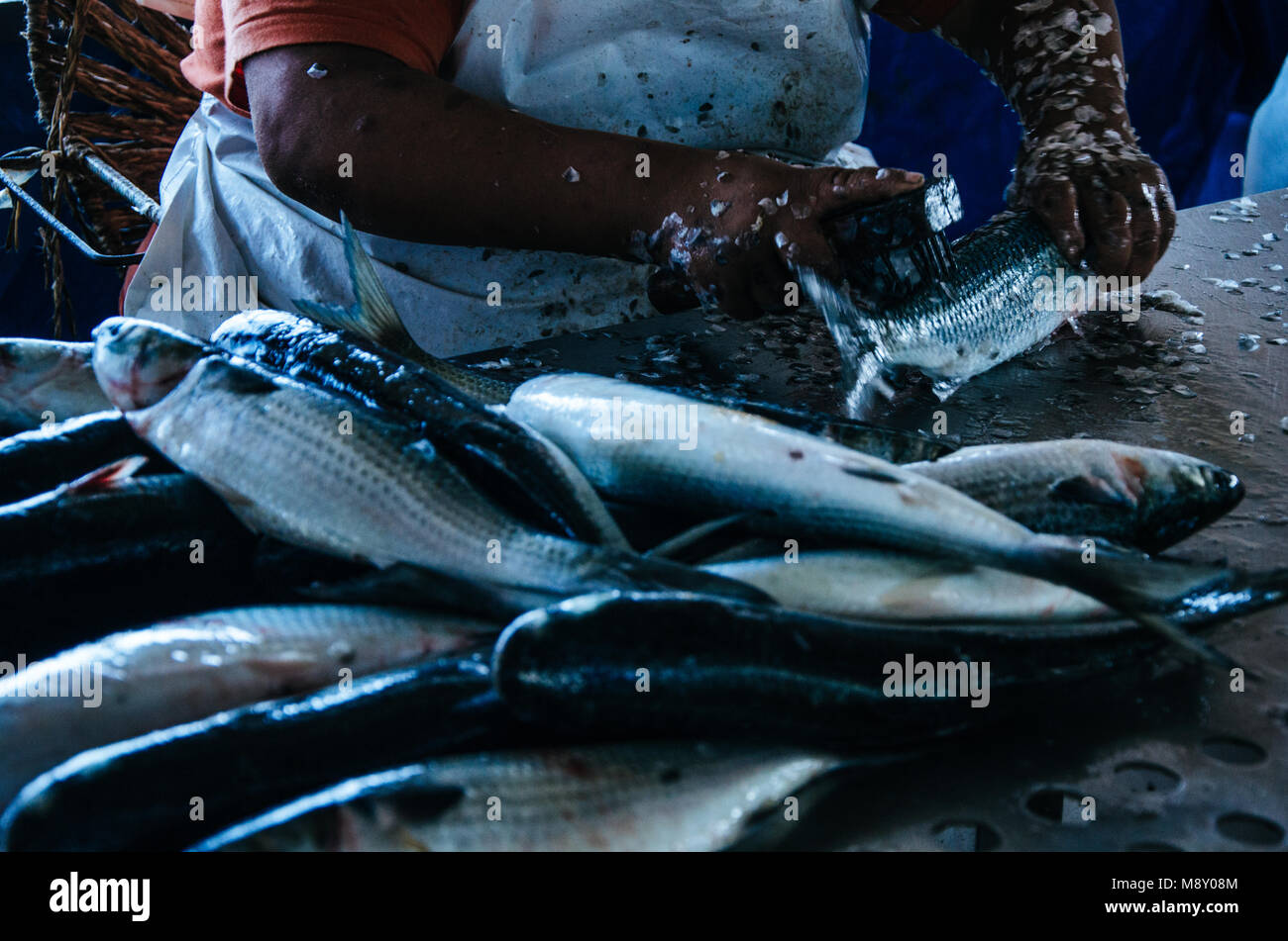 Preparing the fish, removing the scales from the fish so that it can be ...