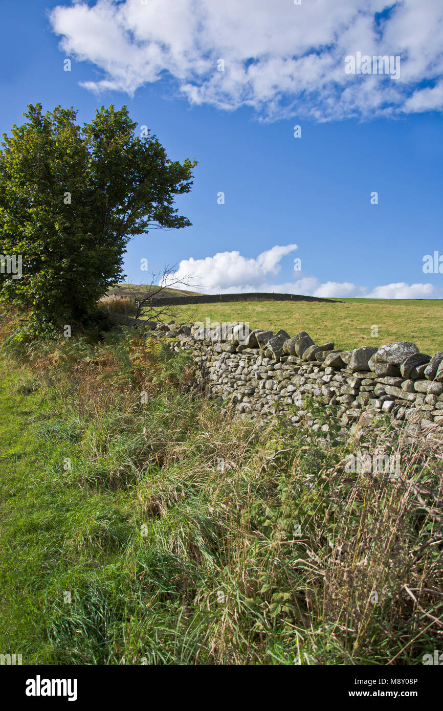 Dry stone wall Stock Photo - Alamy