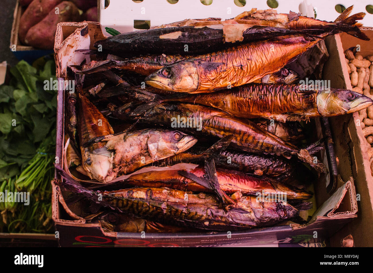 Fish in box hi-res stock photography and images - Alamy