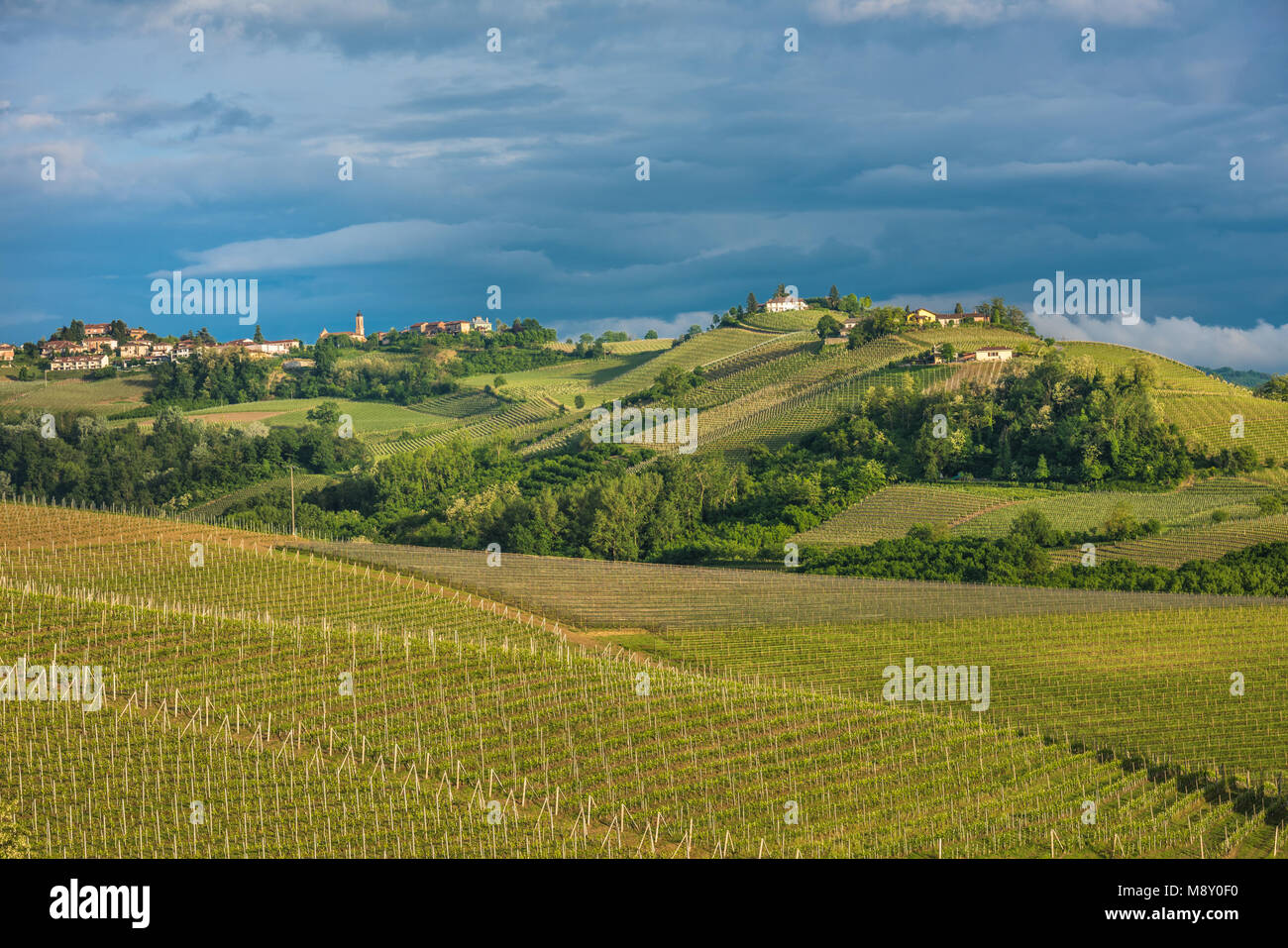 Vineyards of Langhe, Piedmont, UNESCO world heritage Stock Photo - Alamy