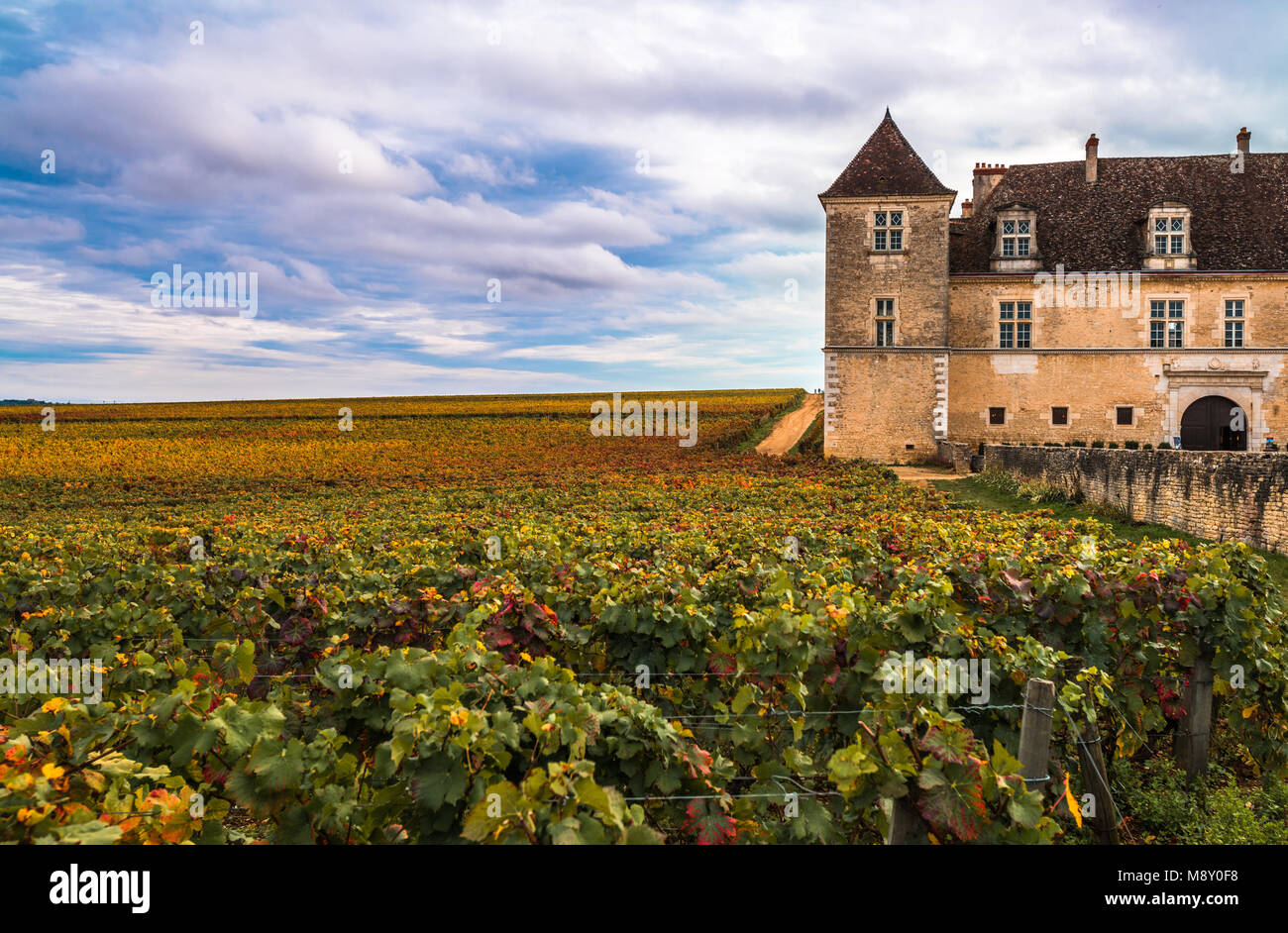 Burgundy france hi-res stock photography and images - Alamy