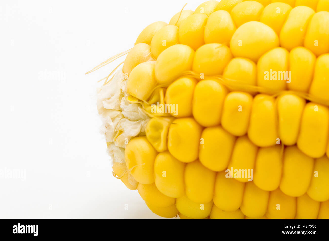 Yellow corn raw isolated on white background, front view from the top ...