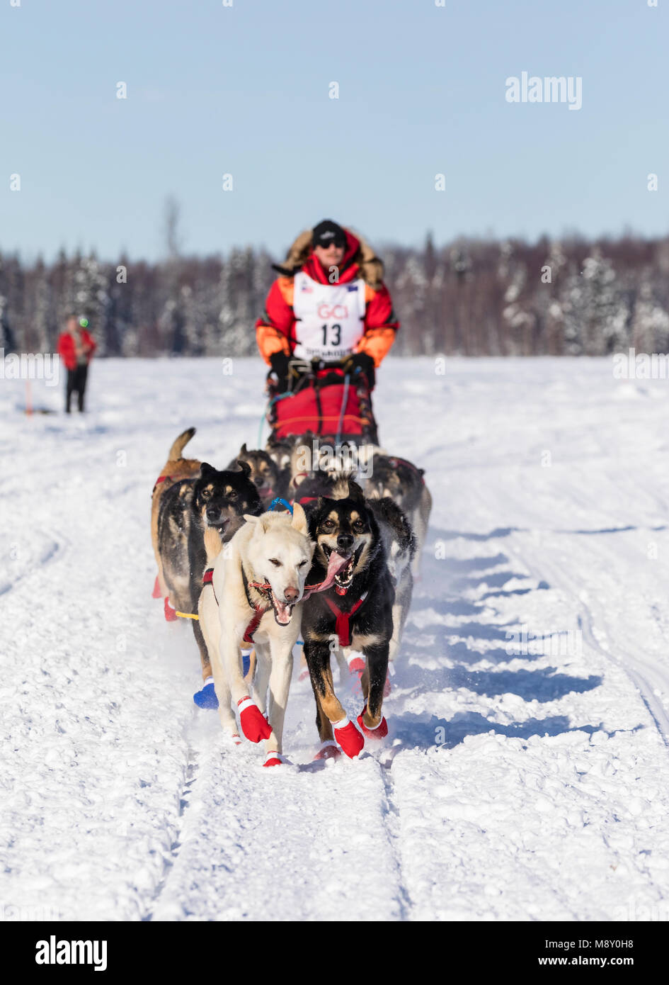 Musher Mitch Seavey after the restart in Willow of the 46th Iditarod ...