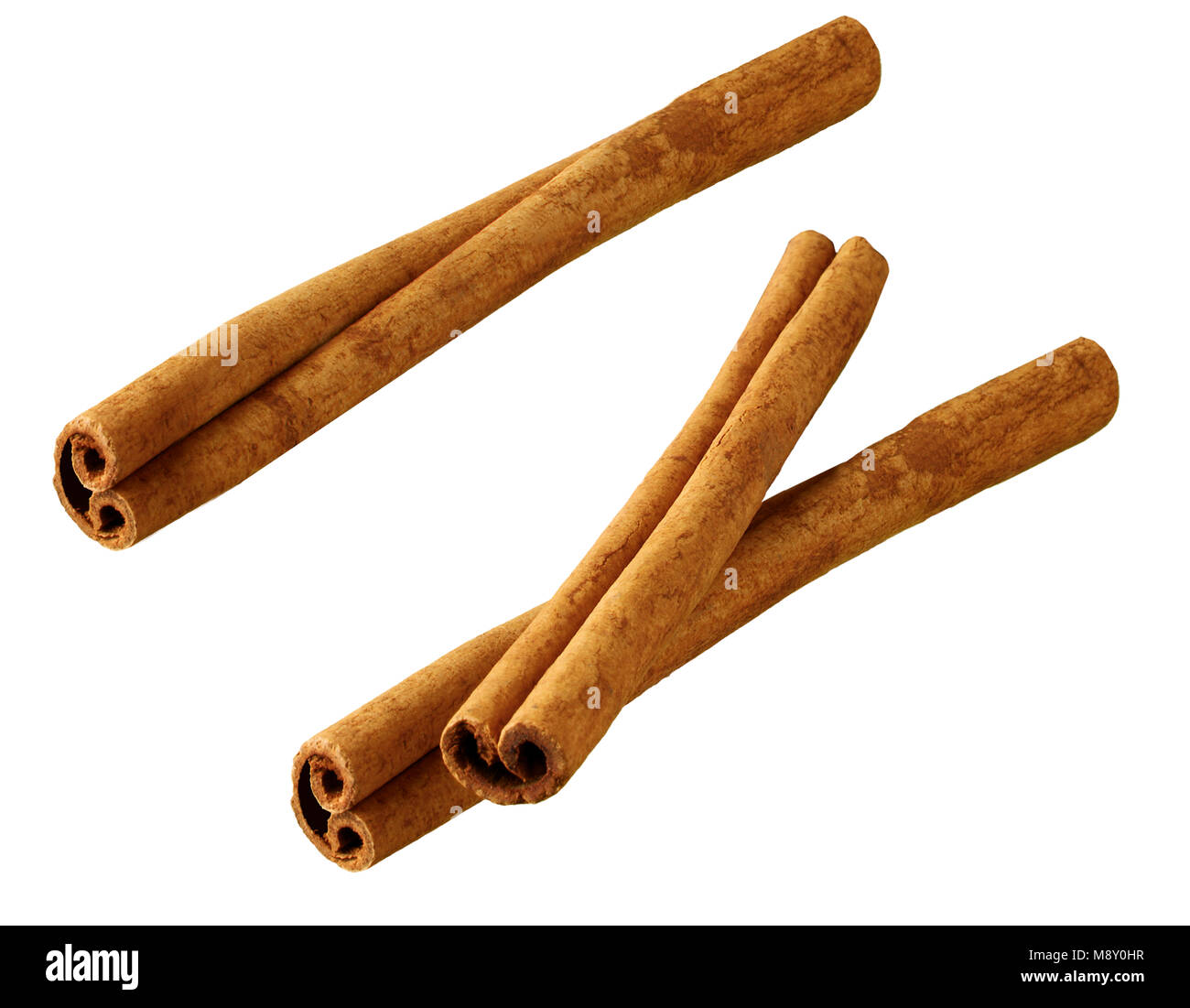 Cinnamon plant Cut Out Stock Images & Pictures - Alamy