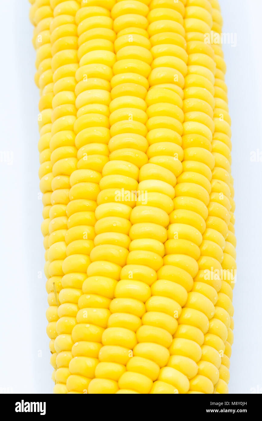 Yellow corn raw isolated on white background, front view from the top ...