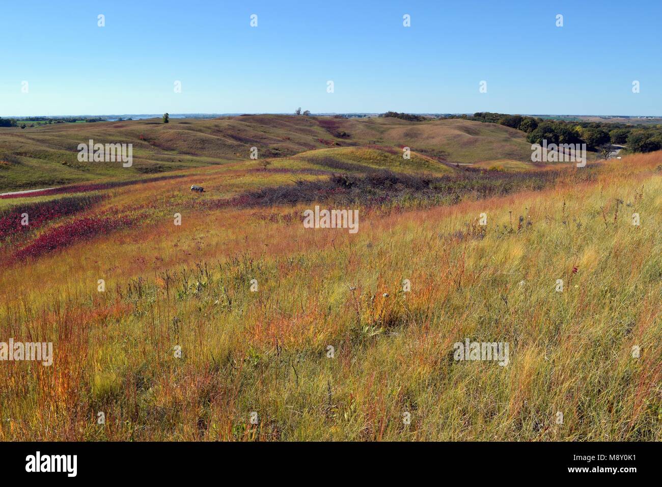 Fall on the Minnesota prairie features some interesting changes in ...