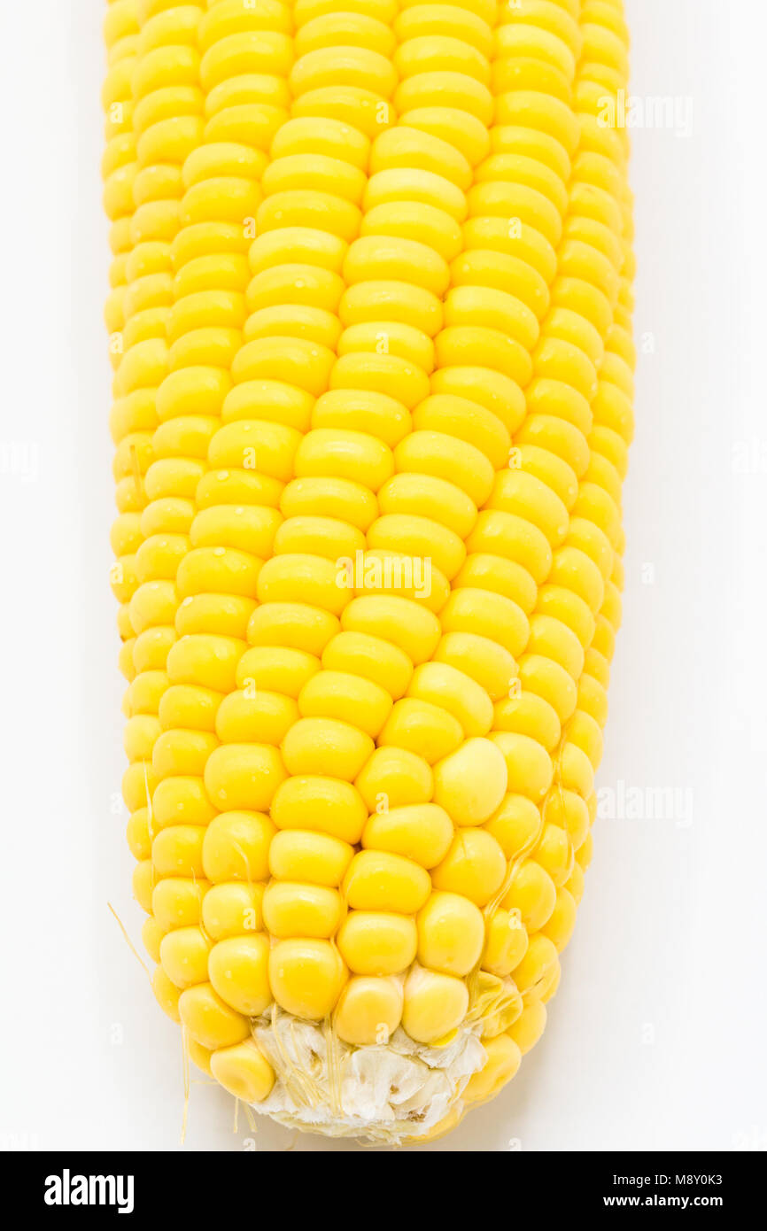 Yellow corn raw isolated on white background, front view from the top ...
