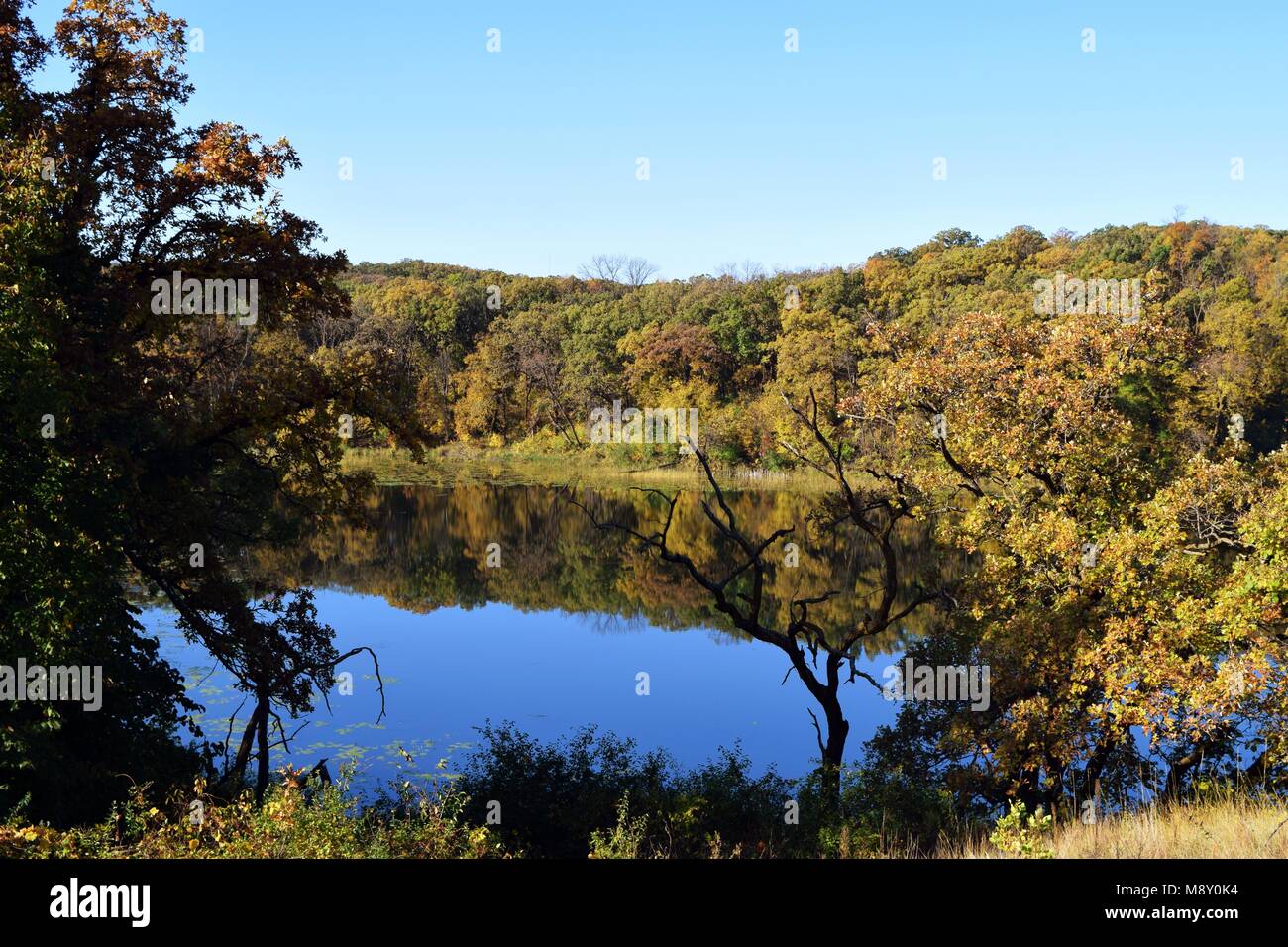 Perfectly still hi-res stock photography and images - Alamy