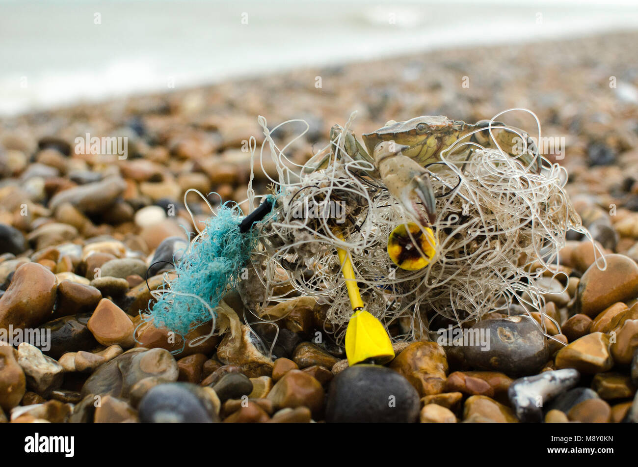 Crab on top of washed up fishing line Stock Photo - Alamy