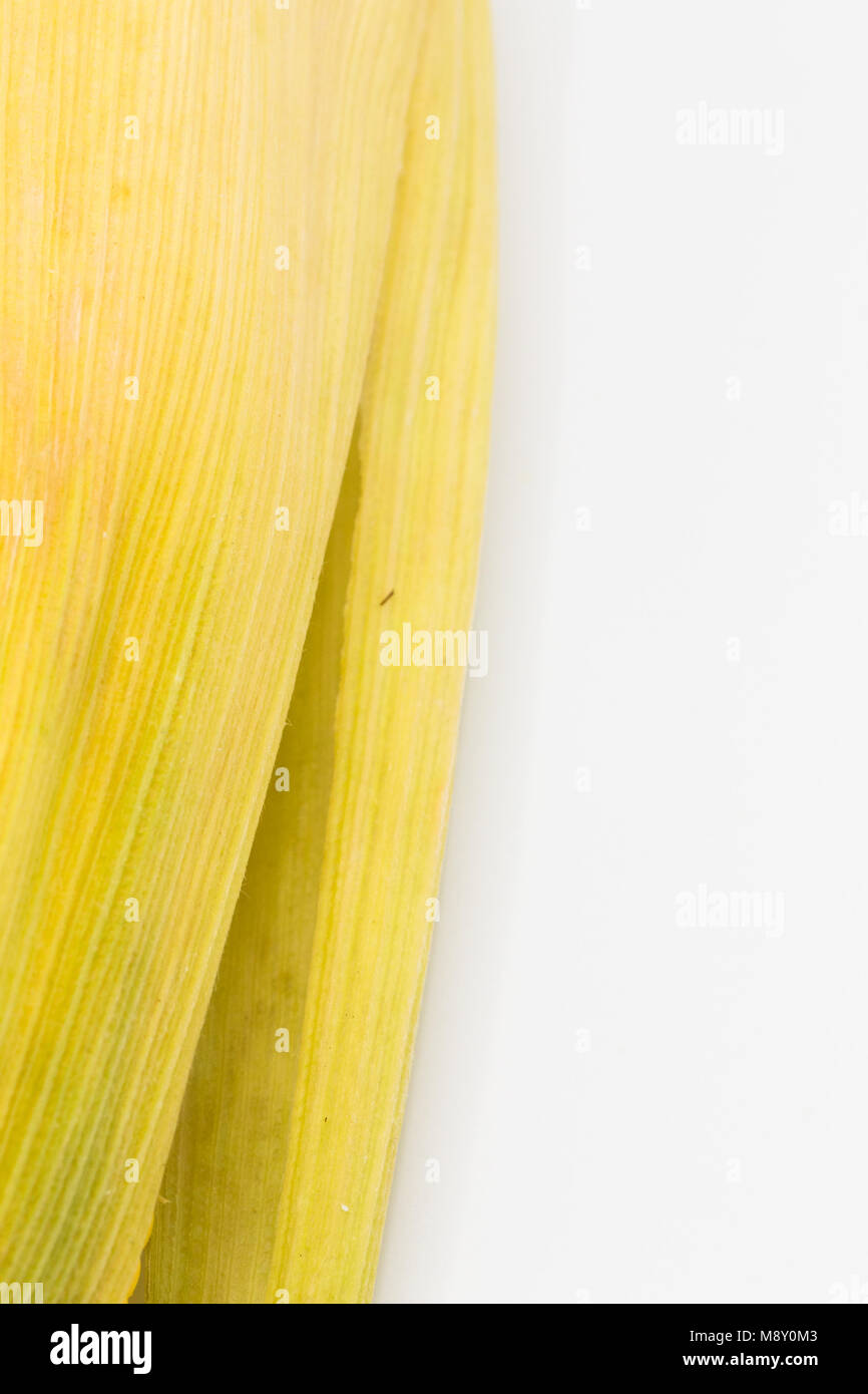 Yellow corn raw isolated on white background, front view from the top ...
