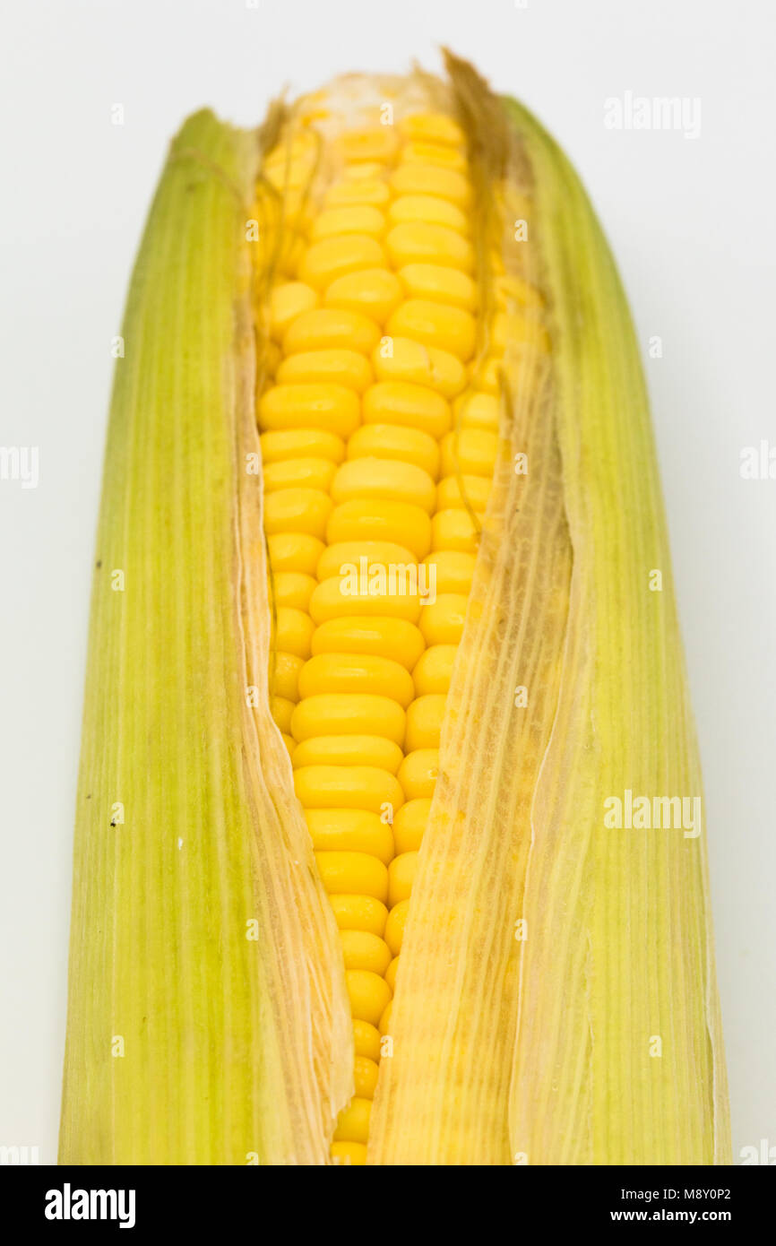 Yellow corn raw isolated on white background, front view from the top ...