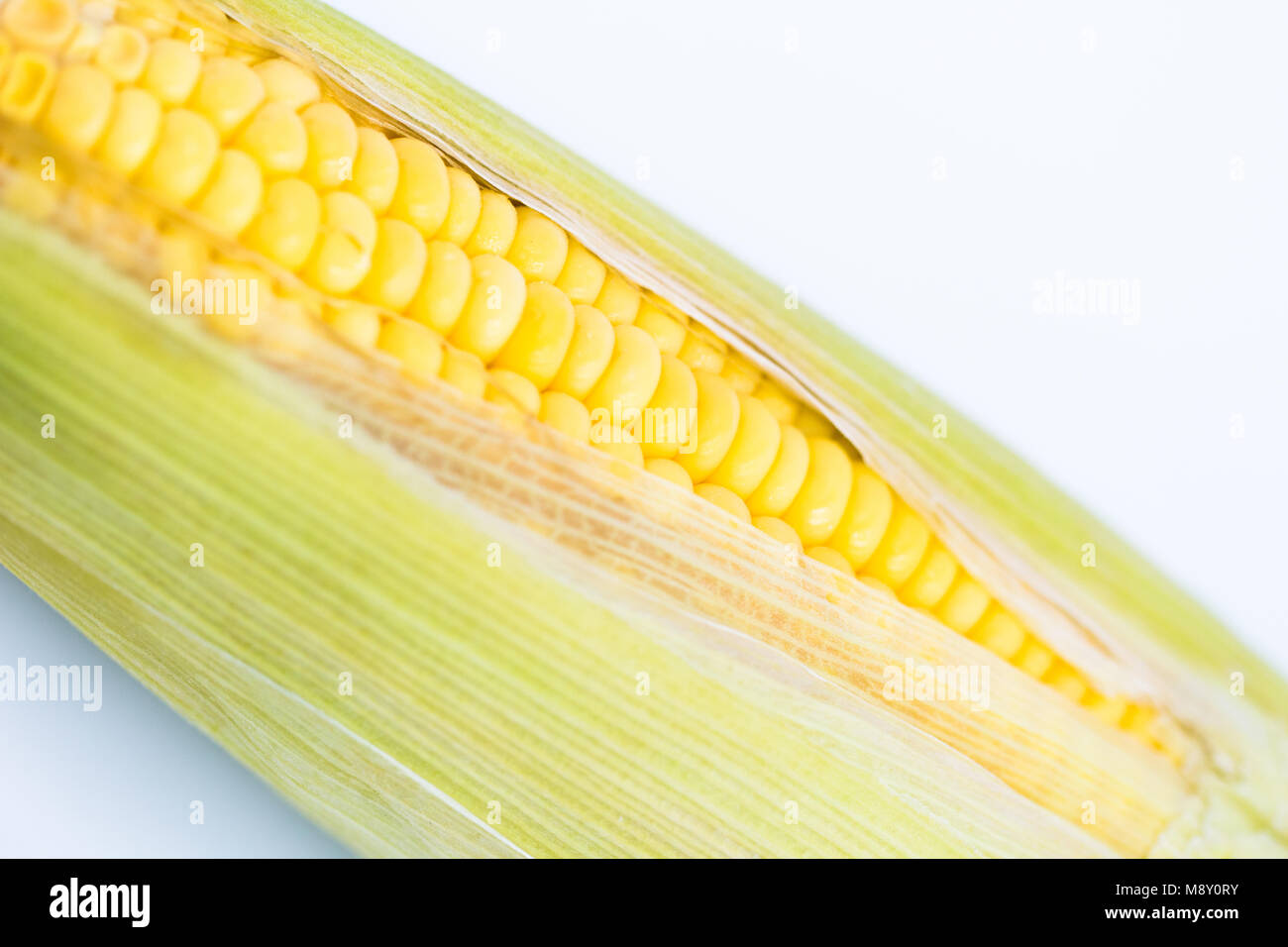 Yellow corn raw isolated on white background, front view from the top ...