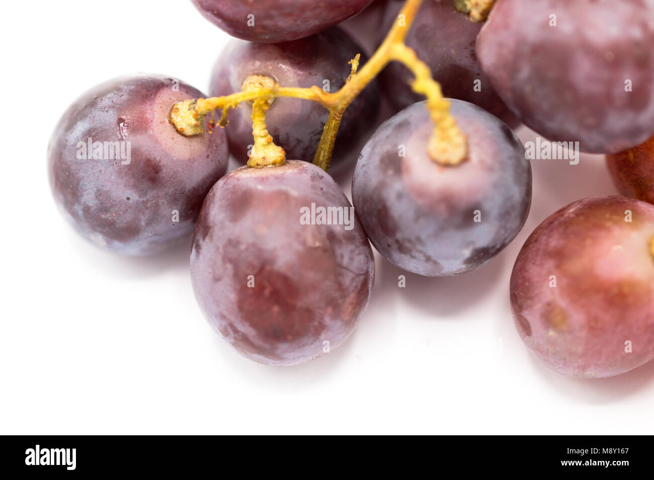 red grape raw isolated on white background, front view from the top ...