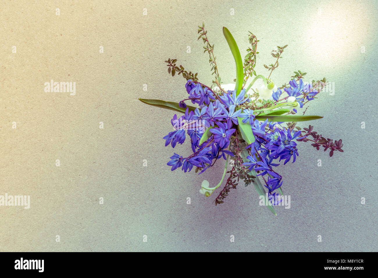 Bunch of spring flowers, small bouquet of tender spring flowers in vase ...