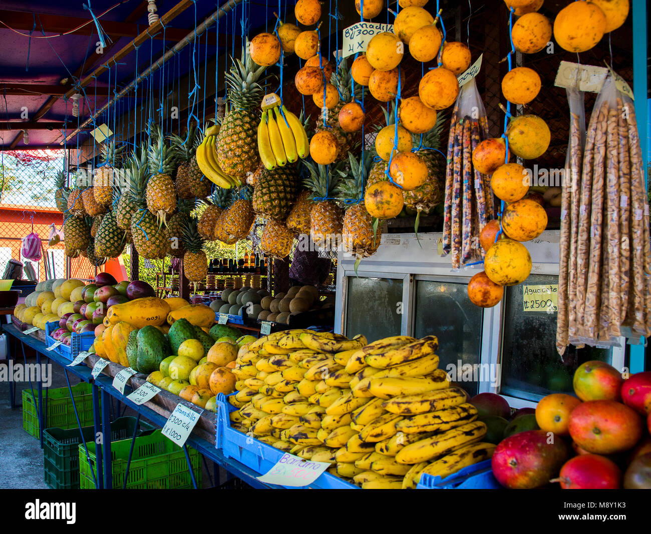 World-class tourist destination. Costa Rica, tropical paradise Stock ...