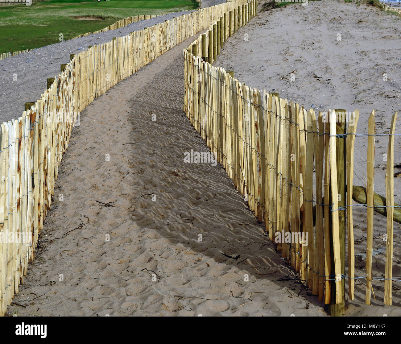 Fencing on sand dunes at Dawlish Warren nature reserve Stock Photo - Alamy