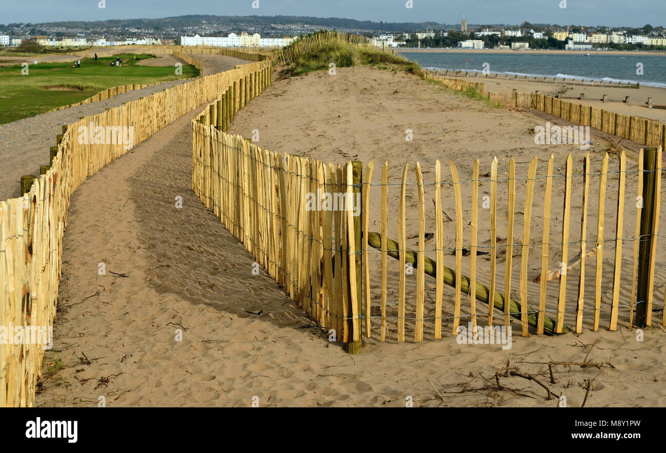 Fencing on sand dunes at Dawlish Warren nature reserve (looking towards ...