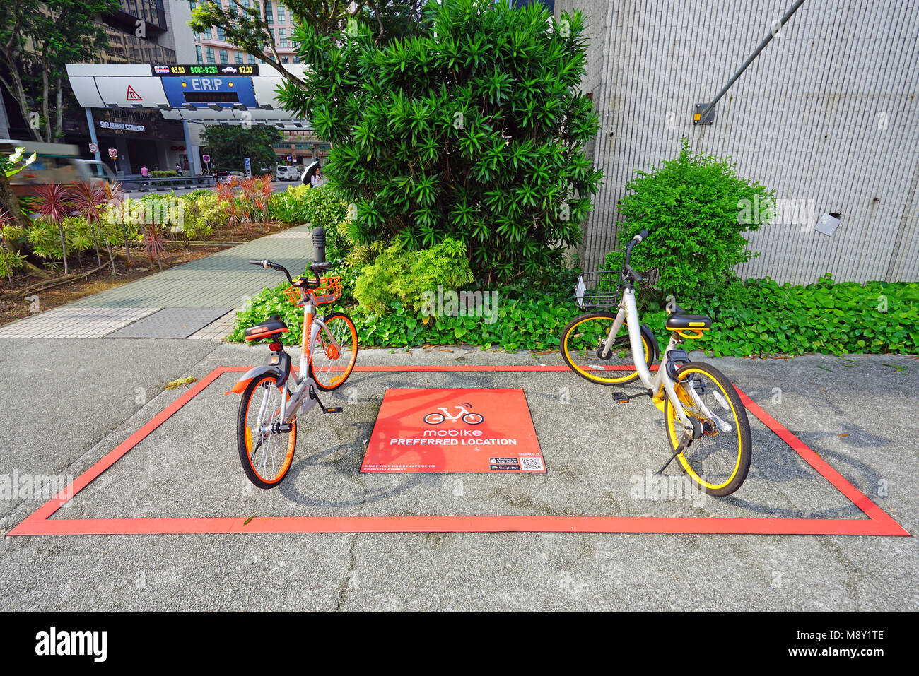 View of shared bicycles in Singapore. The main bike sharing companies ...