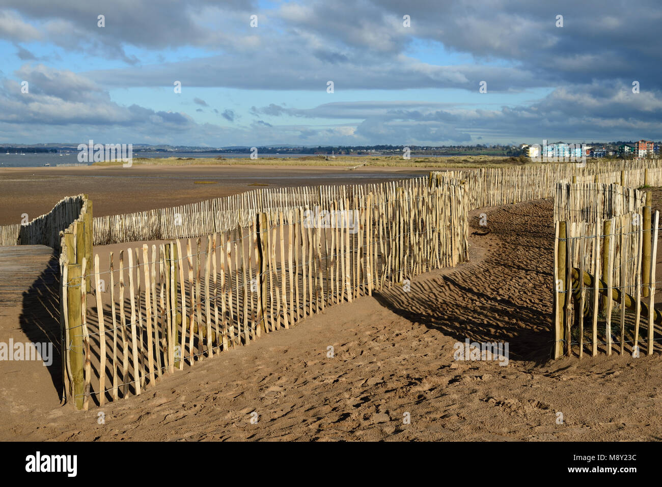 Fencing on sand dunes at Dawlish Warren nature reserve (looking towards ...