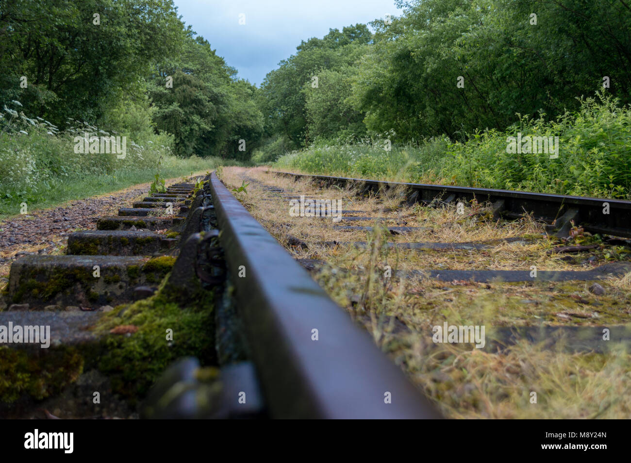 Disused railway tracks hi-res stock photography and images - Alamy