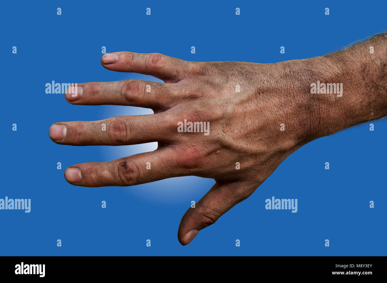 Farmer's rough hand isolated on blue and white Stock Photo - Alamy