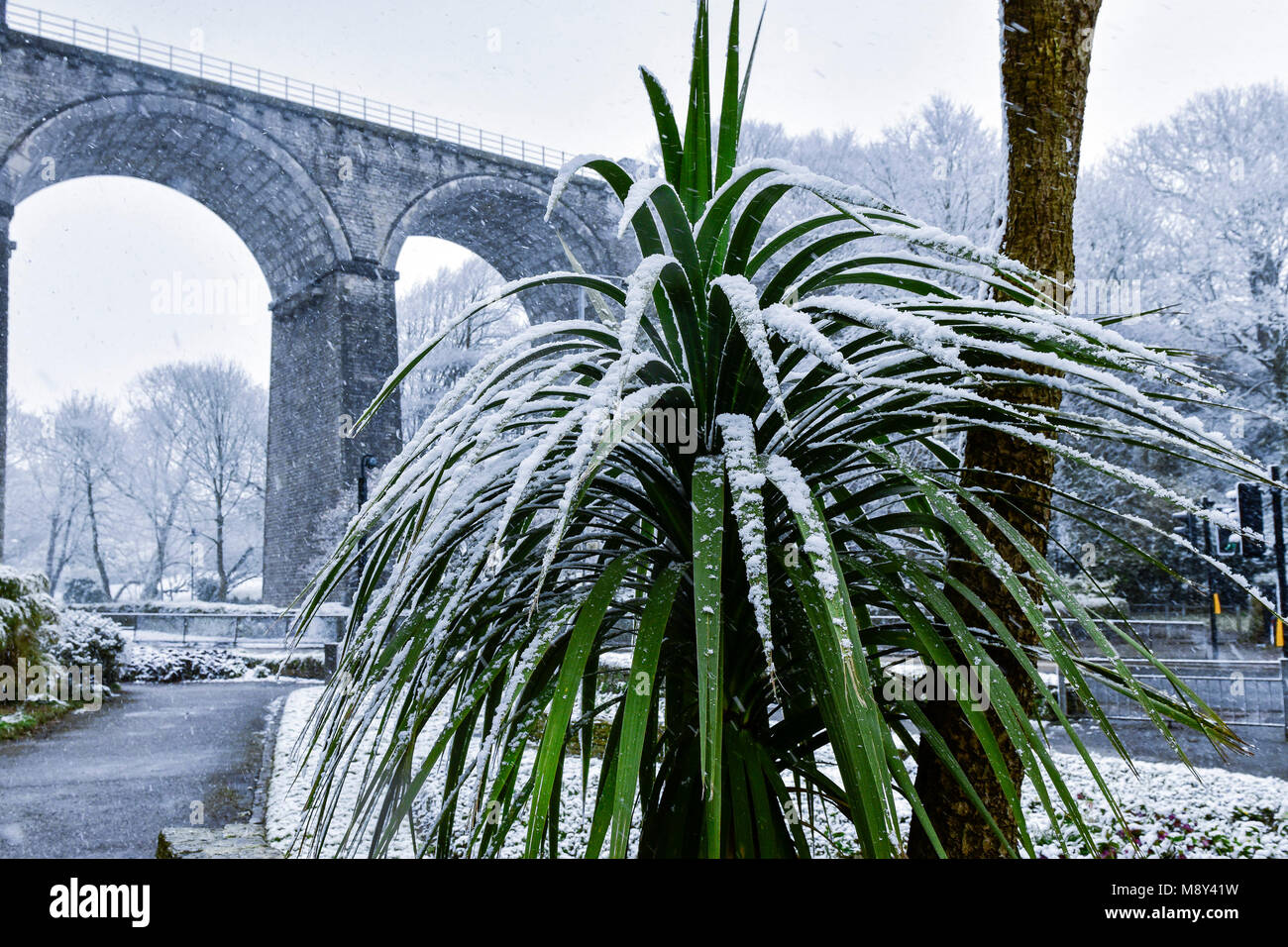 Unusal weather conditions in Cornwall with snow falling over Trenance ...