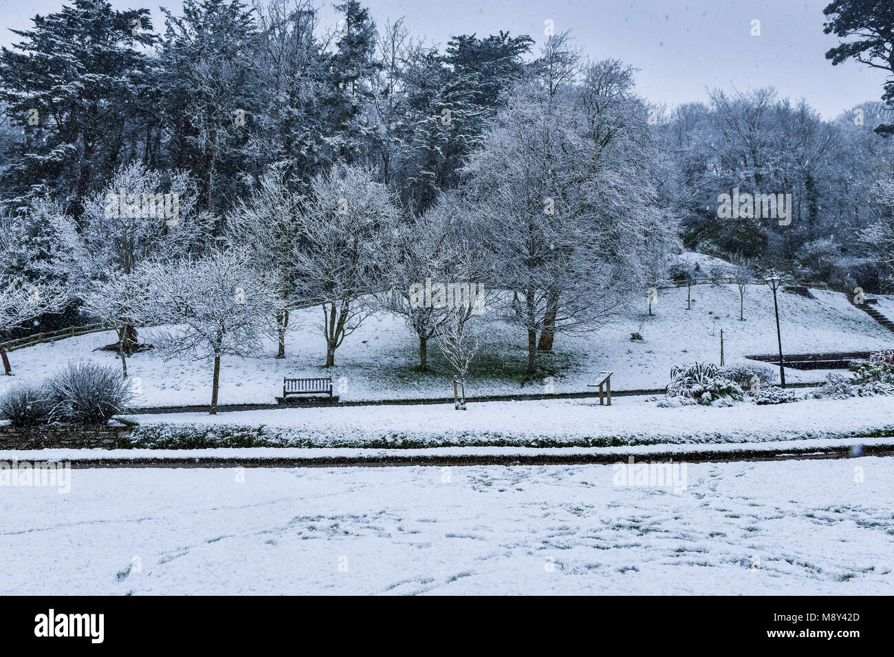 Snow falling in newquay hi-res stock photography and images - Alamy