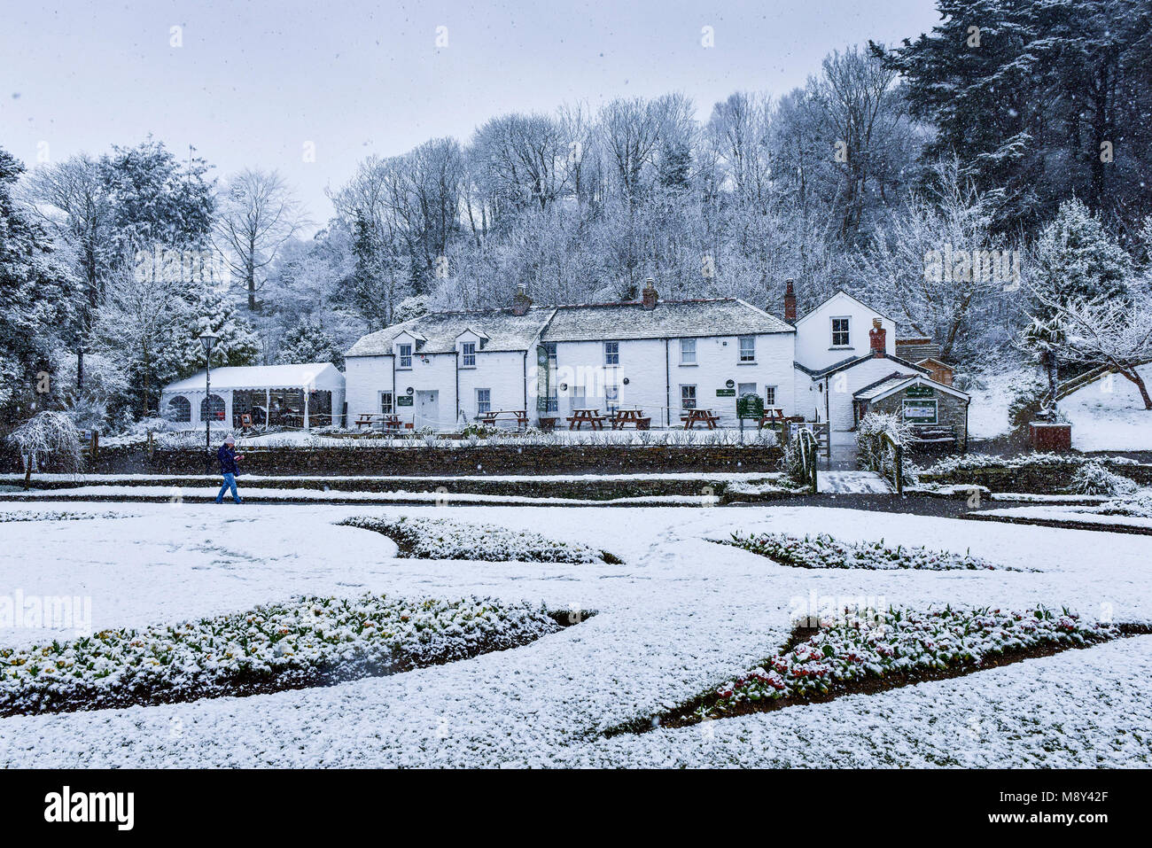 Snow falling over the historic Trenance Heritage Cottages in Newquay ...