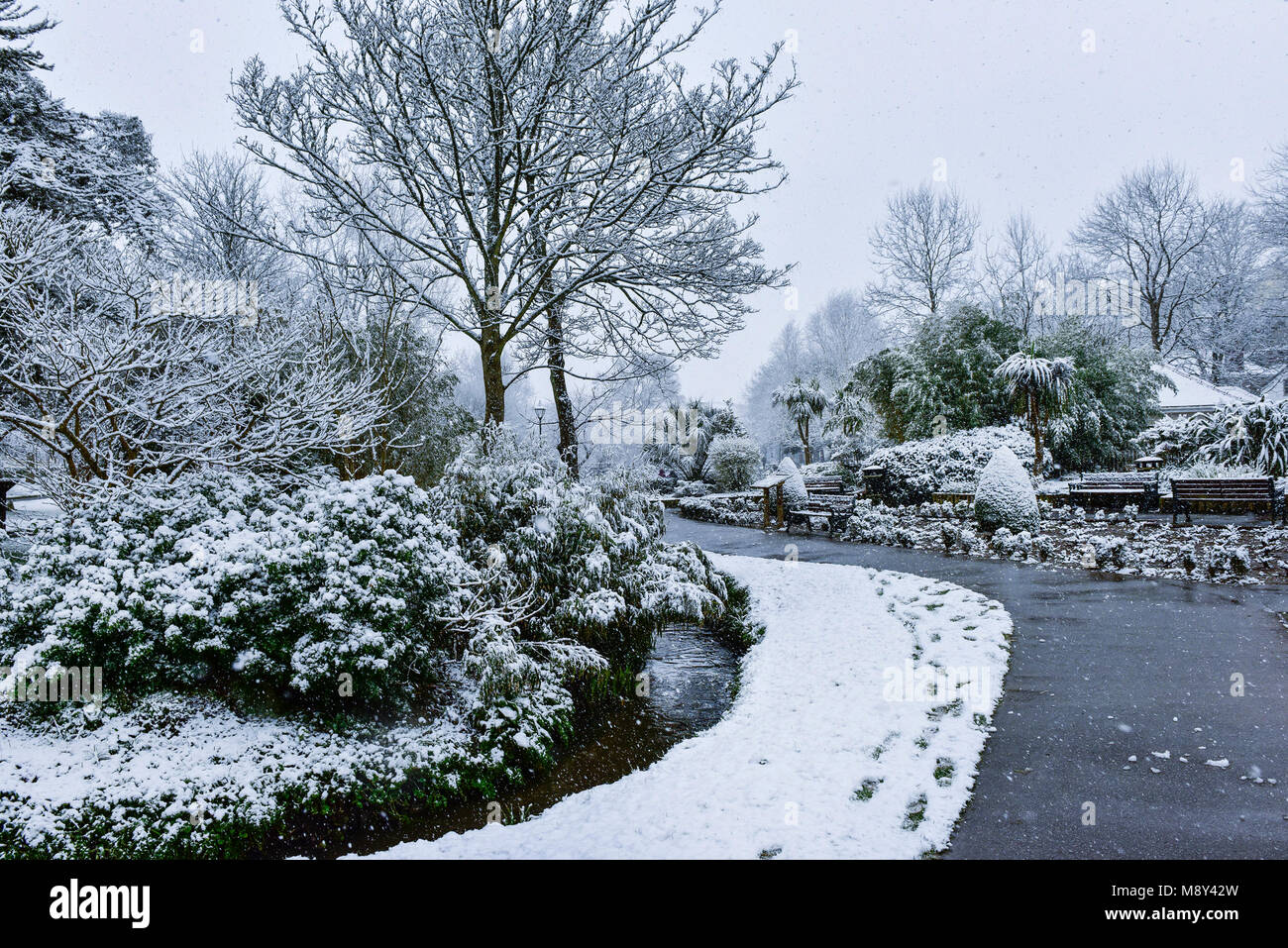 Snow falling over the historic Trenance Gardens in Newquay Cornwall ...
