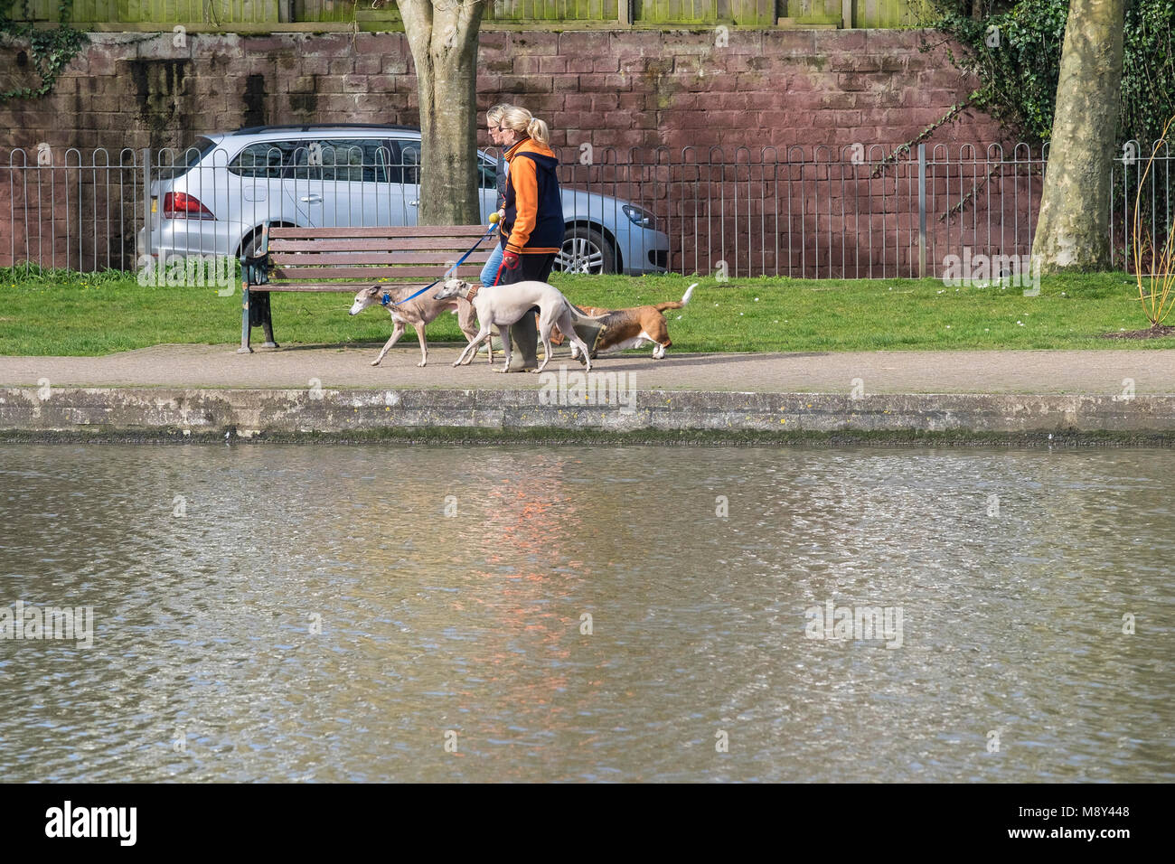 People walking their dogs along a path next to a lake Stock Photo - Alamy