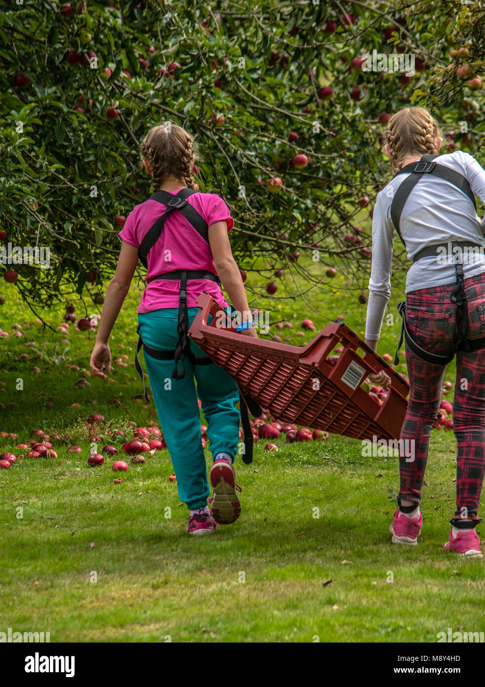 Octogenarian black Caribbean woman who emigrated to the UK at the age ...