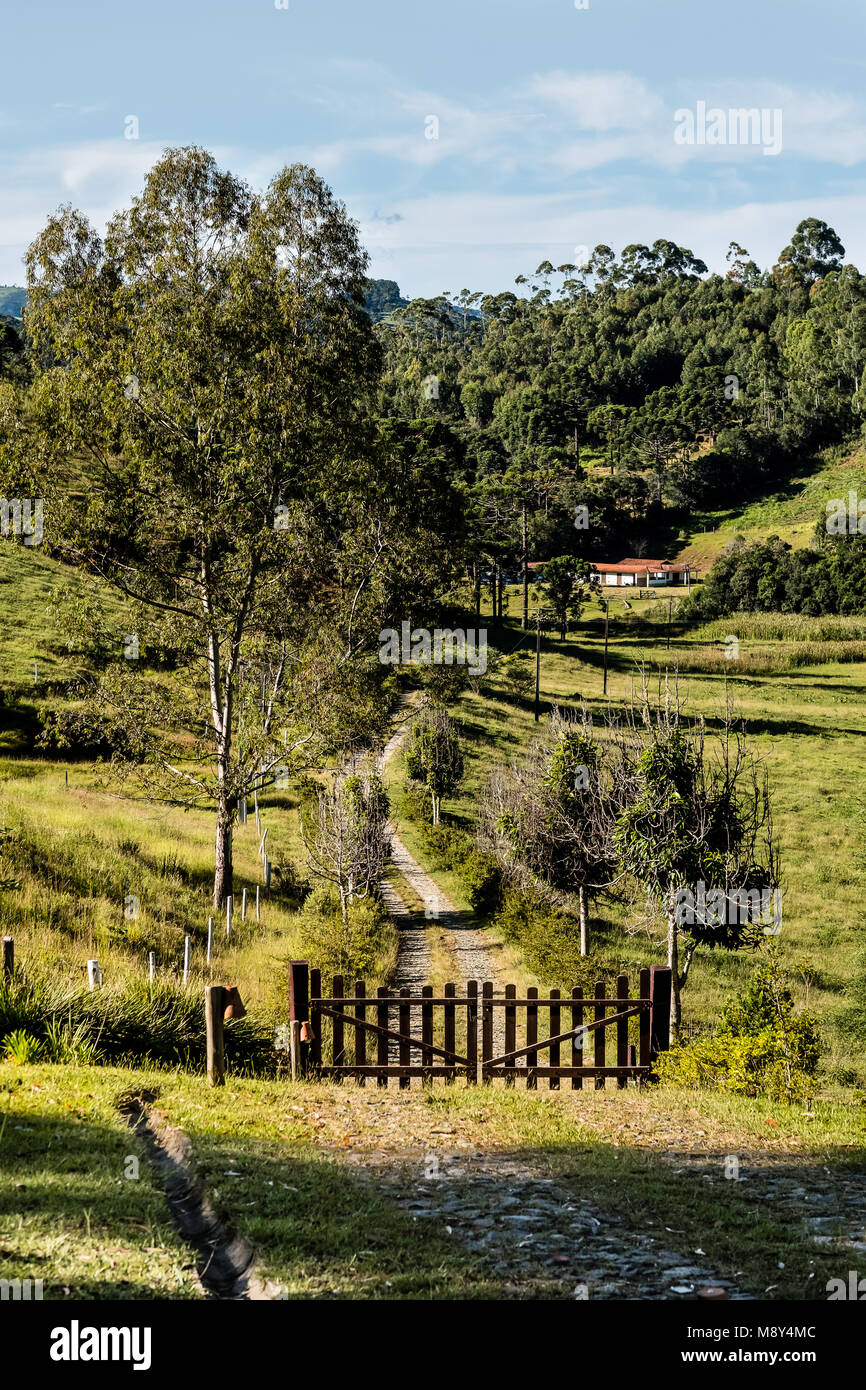 Downhill rocky pathway leading to wooden gate, forest in background ...