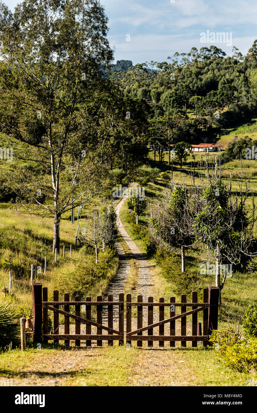 Downhill rocky pathway leading to wooden gate, forest in background ...
