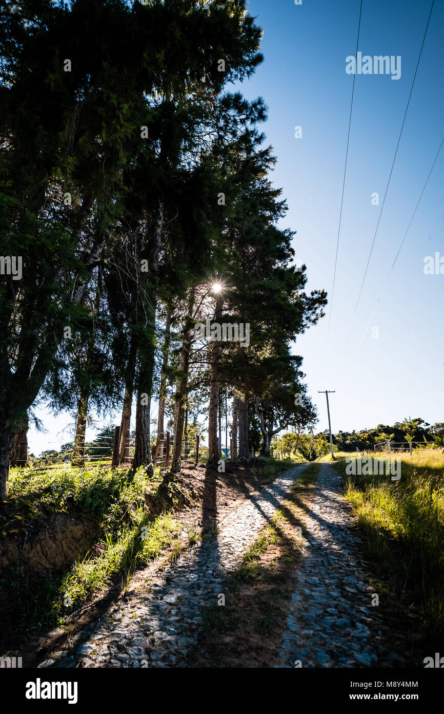 Downhill rocky pathway leading to wooden gate, forest in background ...