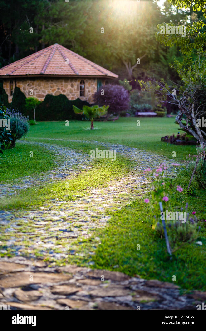 rocky pathway leading to wooden structure, forest in background. grass ...