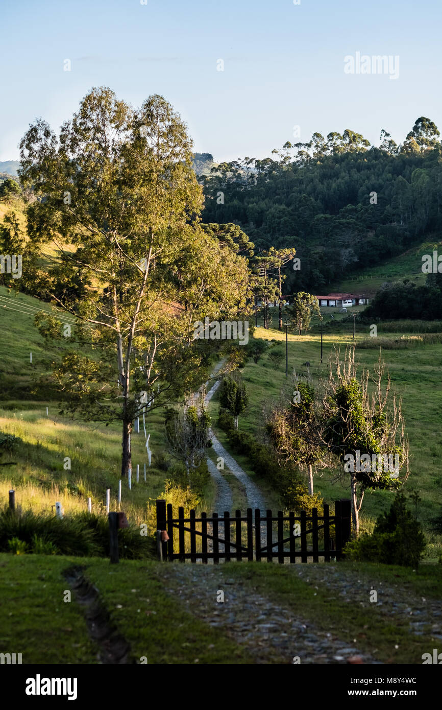 Downhill rocky pathway leading to wooden gate, forest in background ...