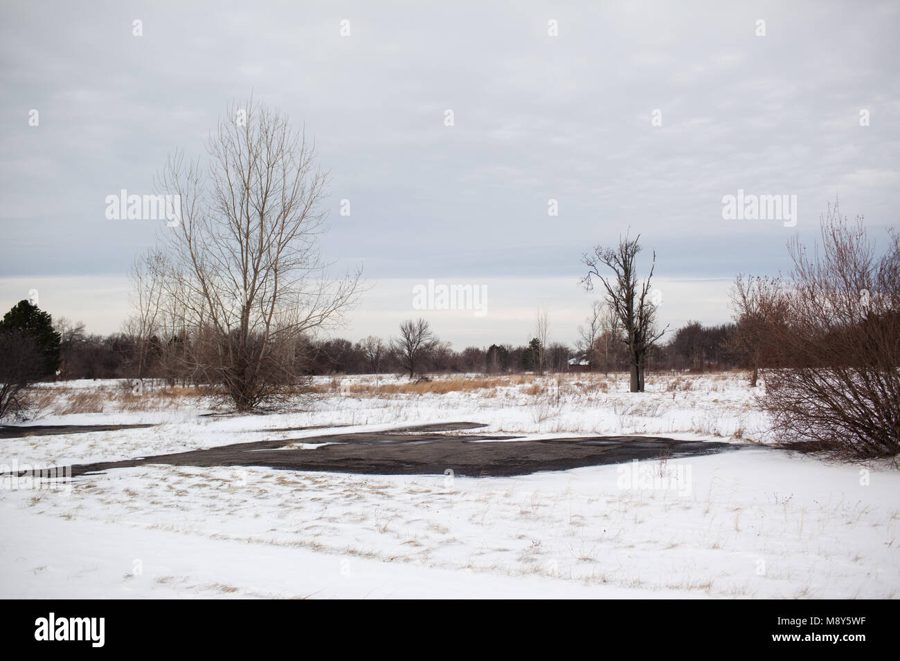 Current Pictures Of Love Canal