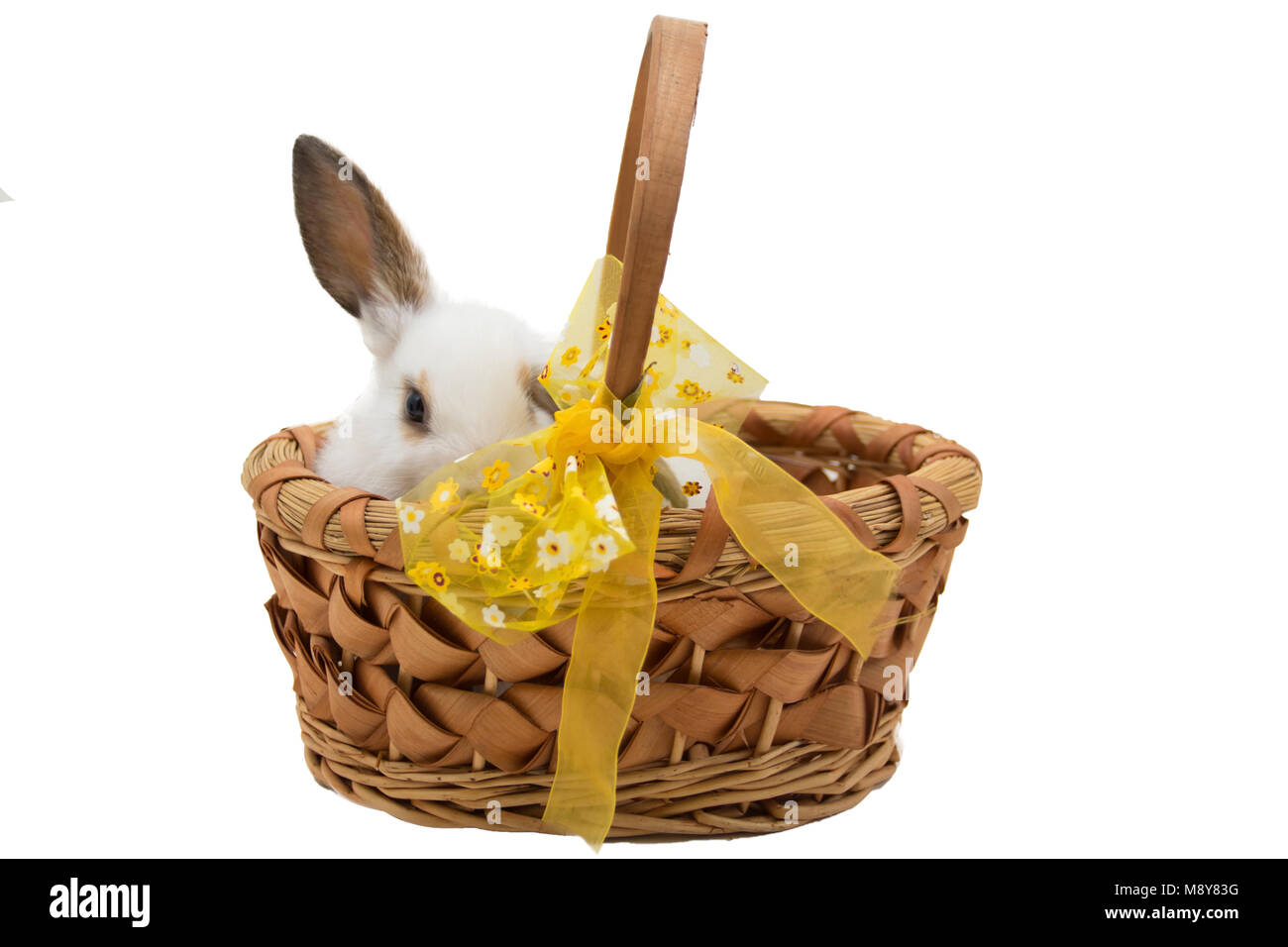 Easter bunny in basket with yellow bow isolated on white background ...