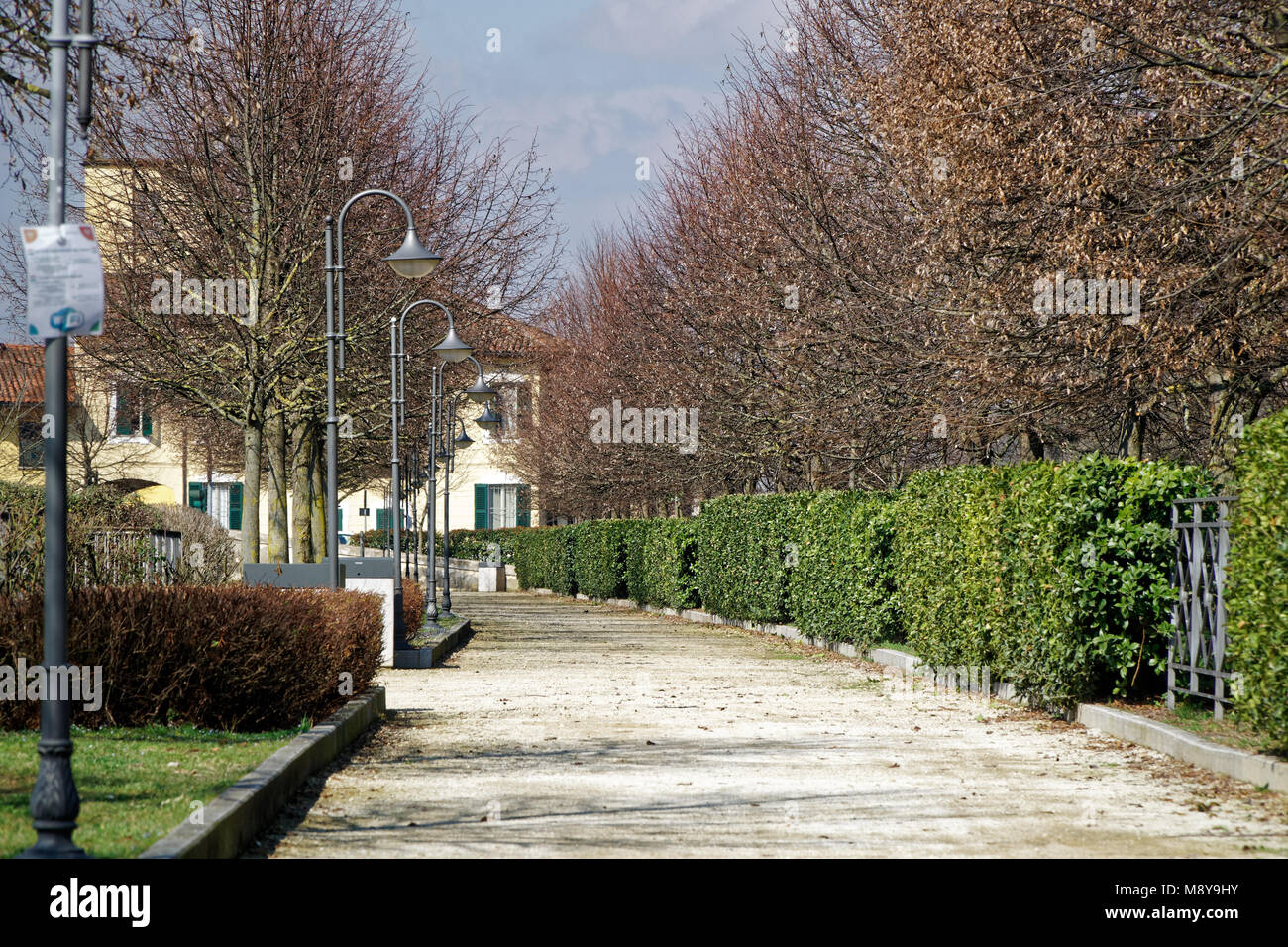 Footpath in public park, tranquility scene, idyllic background Stock ...