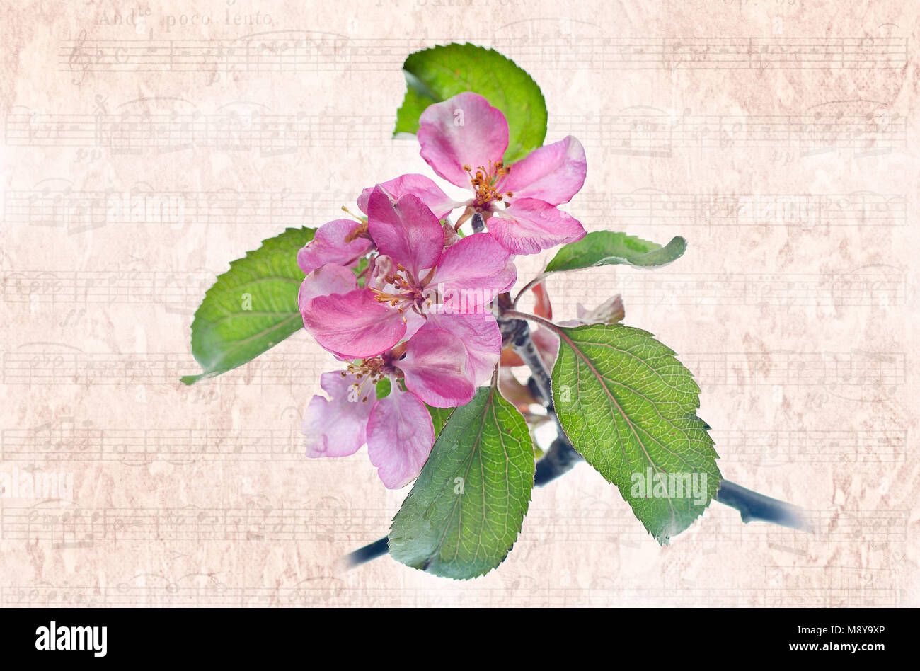 Spring melody hi-res stock photography and images - Alamy