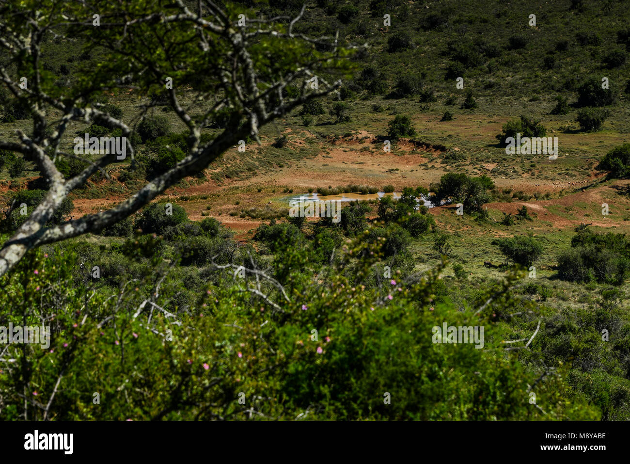 A water hole near the Valley of Desolation, South Africa Stock Photo ...