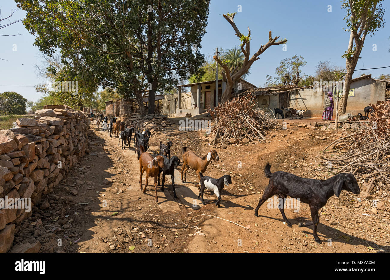 Nimbahera - Rajasthan, India Stock Photo - Alamy